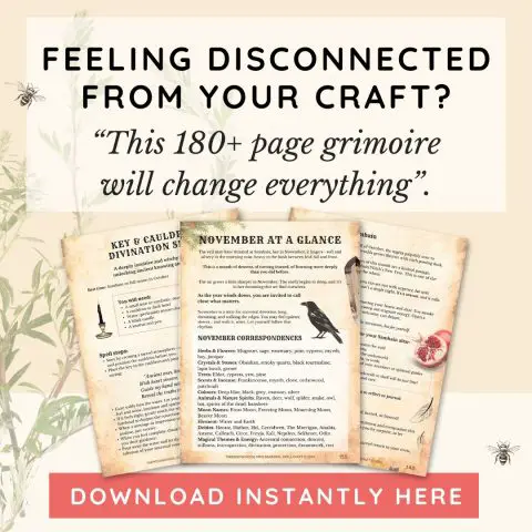 August Witchcraft: 20 Spells, Rituals, Tips + Tasks for the 1st Harvest ...